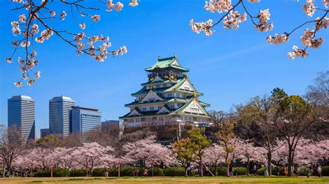 Die 7 Besten Orte Um Kirschblüten In Osaka Zu Sehen Travelodge Asia