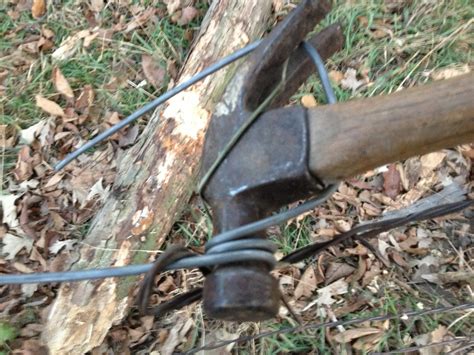 Left Bank Of The Charles If A Tree Falls Make A Honey Crick Splice