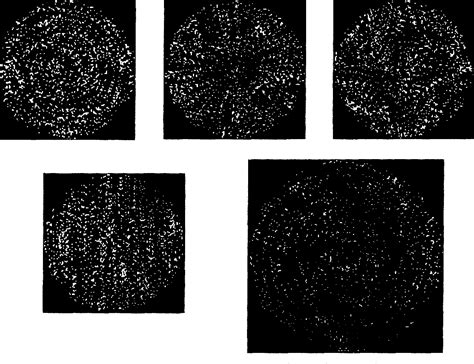 Figure 1 From Concentric Orientation Summation In Human Form Vision Semantic Scholar