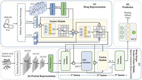 Mtaf Dta Multi Type Attention Fusion Network For Drug Target Affinity Prediction Pmc