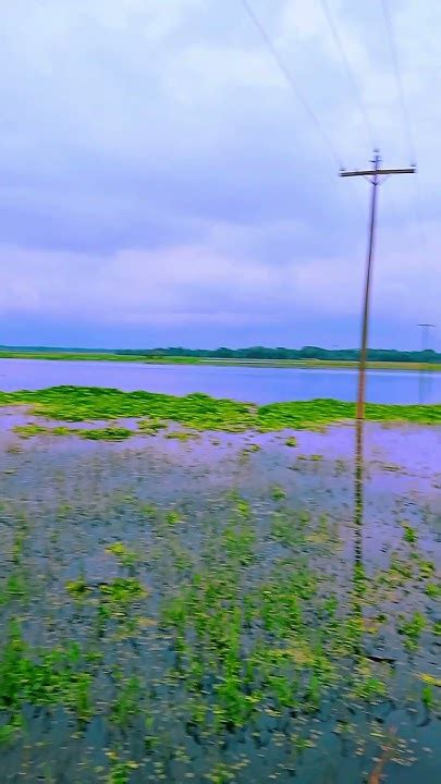 আমায় কোন গাঙে ভাসাইলি দয়াল কোল কিনারা নায়। Youtube