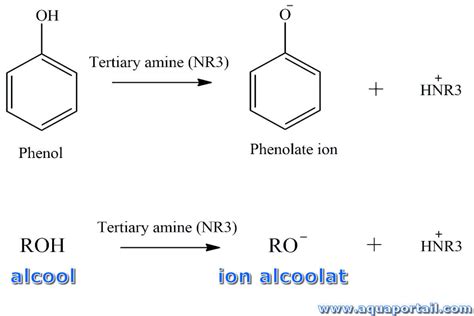 Alcoolat Définition Et Explications Alcoolat Définition Et Explications
