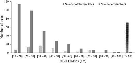 Distribution Of Abundance Of Shade Trees Per Dbh Classes Download Scientific Diagram