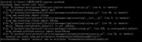 When I Firstly Install Pytorch In Jupyter Notebook There Is A Problem