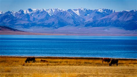 15 Days Silk Road Express Dream Tour To Grand Xinjiang And Dunhuang