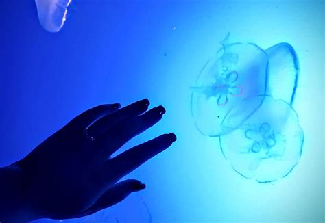 Ios Deep Linking Lebih Baik Url Schemes Atau Universal Links Part Ii