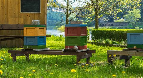 Summer Bee Landscaping At Kayla Omay Blog