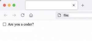 How To Add A Checkbox In HTML ProgrammerAbroad