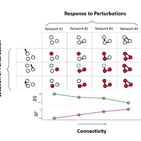 response diversity and information propagation 4 simple graphs are