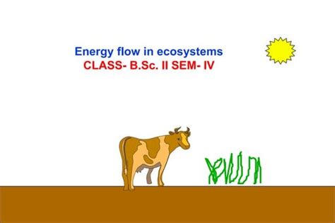Energy Flow Models Pdf