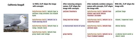 Understanding Video Transformers Via Universal Concept Discovery Ai Research Paper Details