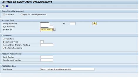 Activation Of Open Item Management And Line Item D SAP Community