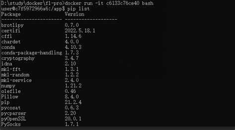 Windows环境下Pytorch项目搭建在Docker中运行 渺阴丶 博客园