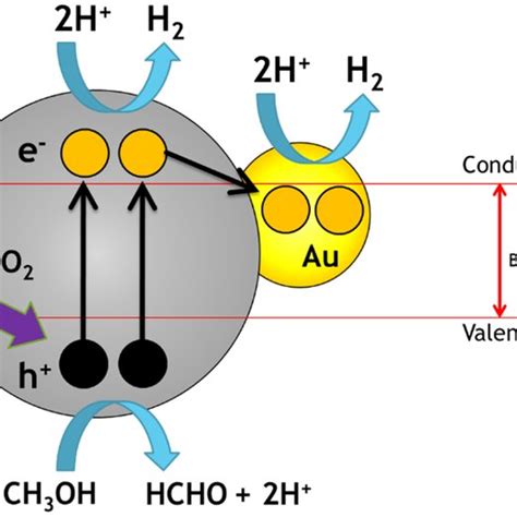 Normalized Uv Visible Absorption Spectra Of Tio2 Tio2 Au Synthesized Download Scientific