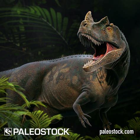 Ceratosaurus Stock Image