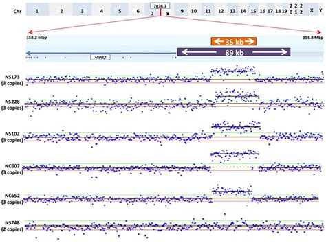 High Resolution Acgh Data Probe Intensity Ratios The Orange Box