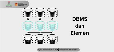 Mengenal Dbms Konsep Dasar Unsur Elemen Dan Peran Penting Dalam