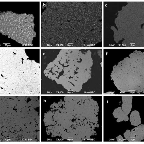 Phase Diagram Of The Titanium Tantalum System 1 Download Scientific