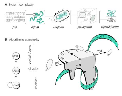 Biocomputation Moving Beyond Turing With Living Cellular Computers
