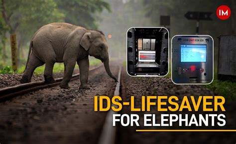 How Railways Intrusion Detection System Works To Avert Train Elephant