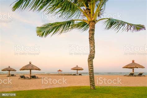 하얀 모래 해변에서 코코넛 야 자 나무 휴가 휴일 백그라운드 벽지 좋은 열 대 해변의 보기입니다 0명에 대한 스톡 사진 및 기타 이미지 Istock