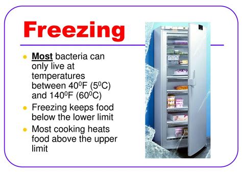 Can Bacteria Survive In Freezing Temperatures At William Everhart Blog