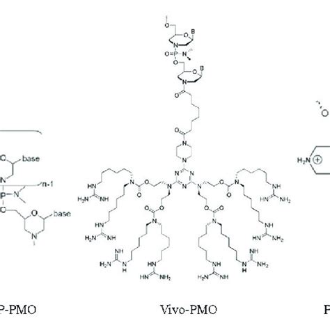 Chemical Structures Of Cpp Pmo Vivo Pmo And Pmoplus Tm Pmo
