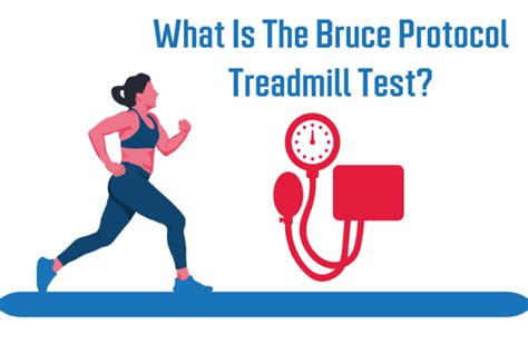 Bruce Protocol Treadmill Test 2023 Garage Gym Reviews