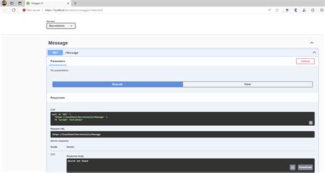 Using Secretsjson In Iis
