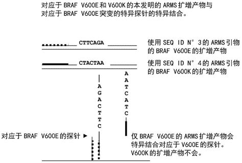 Method For Detection Of Braf And Pi 3k Mutations Eureka Patsnap