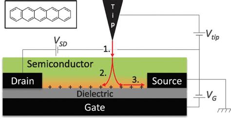 Schematic Of An In Situ Stm Measurement On A Field Effect Transistor Download Scientific