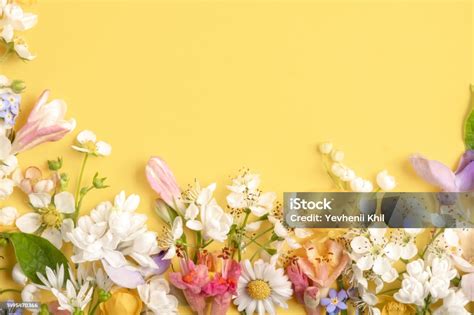 밝은 노란색 배경에 다른 야생화의 꽃 구성 화장품의 광고 및 프리젠테이션을 위한 템플릿입니다 평면도 및 복사 공간 꽃 식물에 대한 스톡 사진 및 기타 이미지 Istock