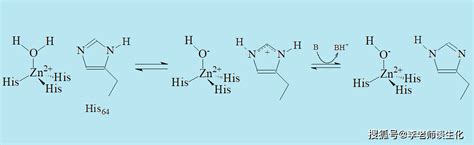 基本氨基酸的一些基本知识：结构、特点与记忆方法（七） His