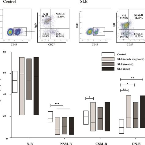 The Frequency Of Memory B Cell At Antigendependent Differentiation Download Scientific Diagram