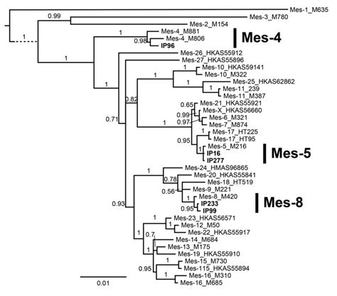 Bayesian Phylogeny Inference Tree Based On Five Gene Concatenated Download Scientific Diagram