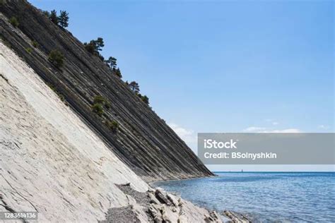 밝은 날에 그림 같은 여름 풍경 돌 야생 해변 소나무와 밝은 푸른 하늘과 거대한 절벽 구름 겔렌지크에 대한 스톡 사진 및 기타 이미지 Istock