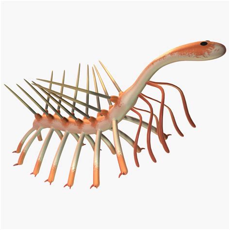 Hallucigenia 3d Model 25 Max Obj Free3d