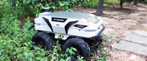 Intelligent Unmanned Ground Vehicle With Multi Sensor System