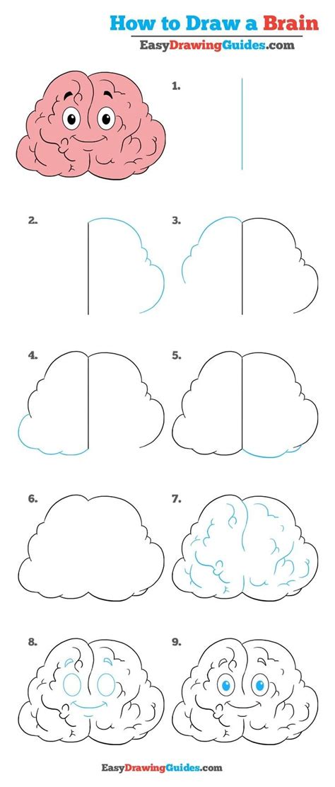 How To Draw A Brain Really Easy Drawing Tutorial