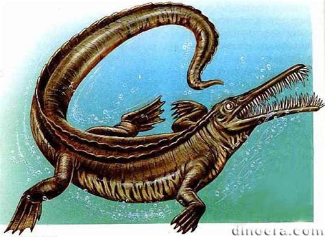 Mesosaurus Fossil Wiki Fandom