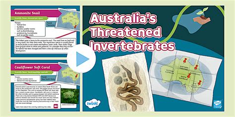 Australias Threatened Invertebrates Powerpoint