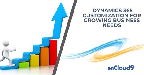 Dynamics 365 Customization For Growing Business Needs