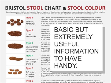 Bristol Stool Chart Printable