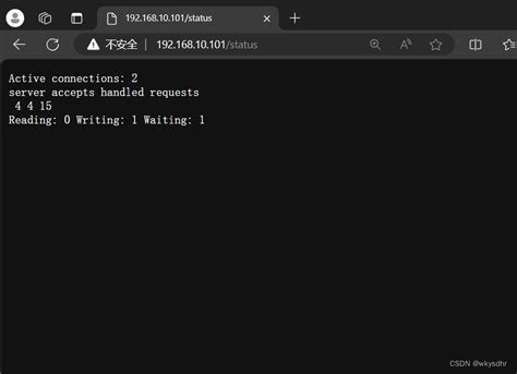 Nginx网站服务 Csdn博客