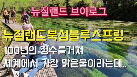 🇳🇿뉴질랜드vlog행복했던 가족여행 세계에서 가장 맑은샘물 에메랄드빛 블루스프링 에서 마무리😘 Youtube