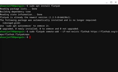 How To Install Flatpak And Snap Store In Linux On Chromebook Beebom