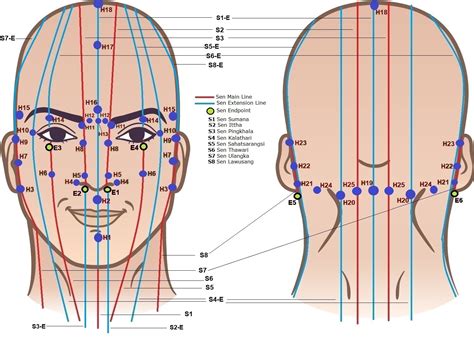 Thai Massage And Thai Acupressure Points For Headache