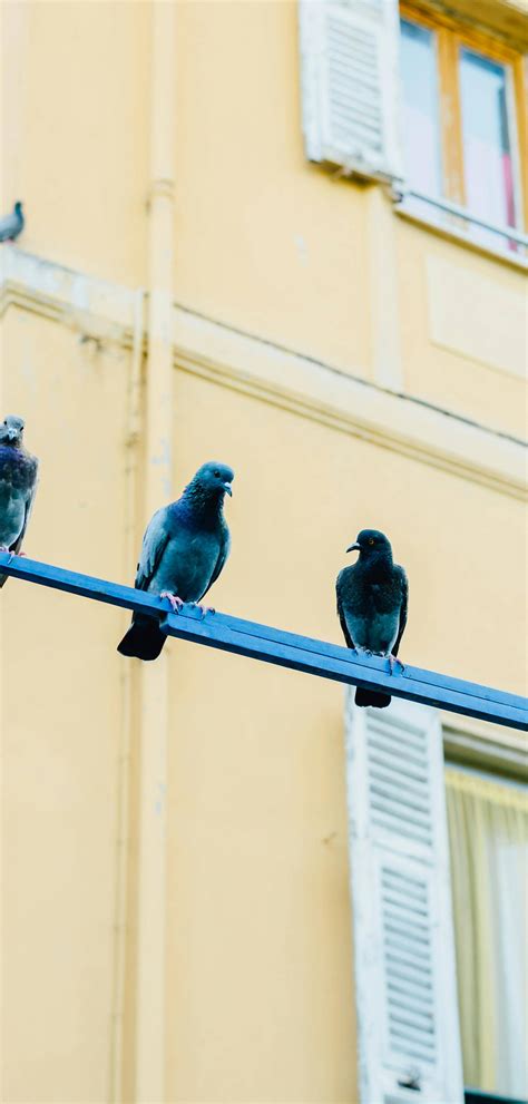 What Is A Proprietary System Benefits Drawbacks And Examples Explained