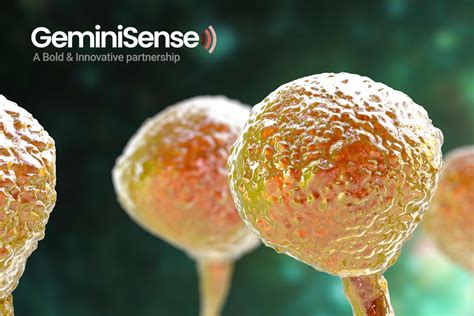 Expanding The Scope Of Iot Alarm Monitoring From Security To Environmental Health Geminisense Expanding The Scope Of Iot Alarm Monitoring From Security To Environmental Health Geminisense