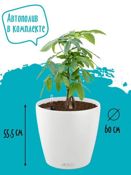 Кашпо для цветов напольное высокое с автополивом уличное Lechuza Classico Color 60 горшок